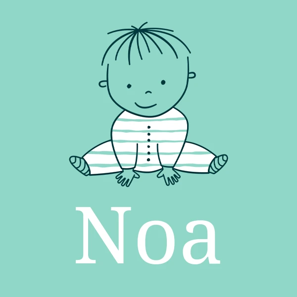 Name Noa First names with origin & meanings